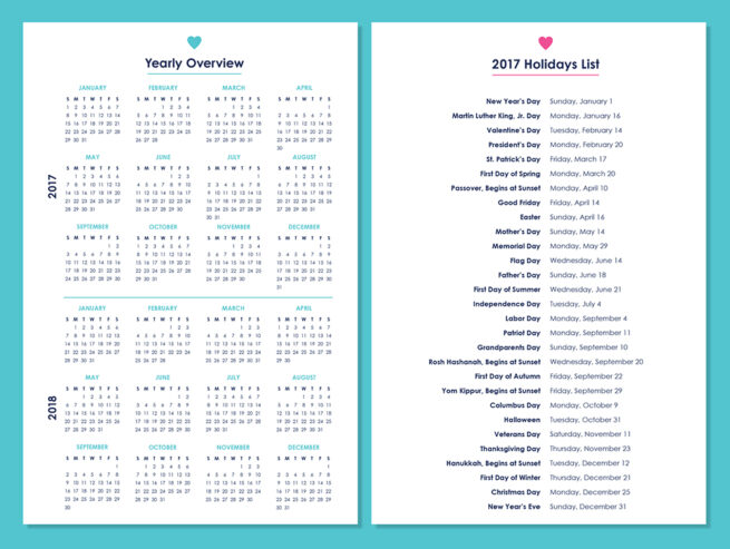 The Ashley Shelly Planner: 2017 Calendar Edition