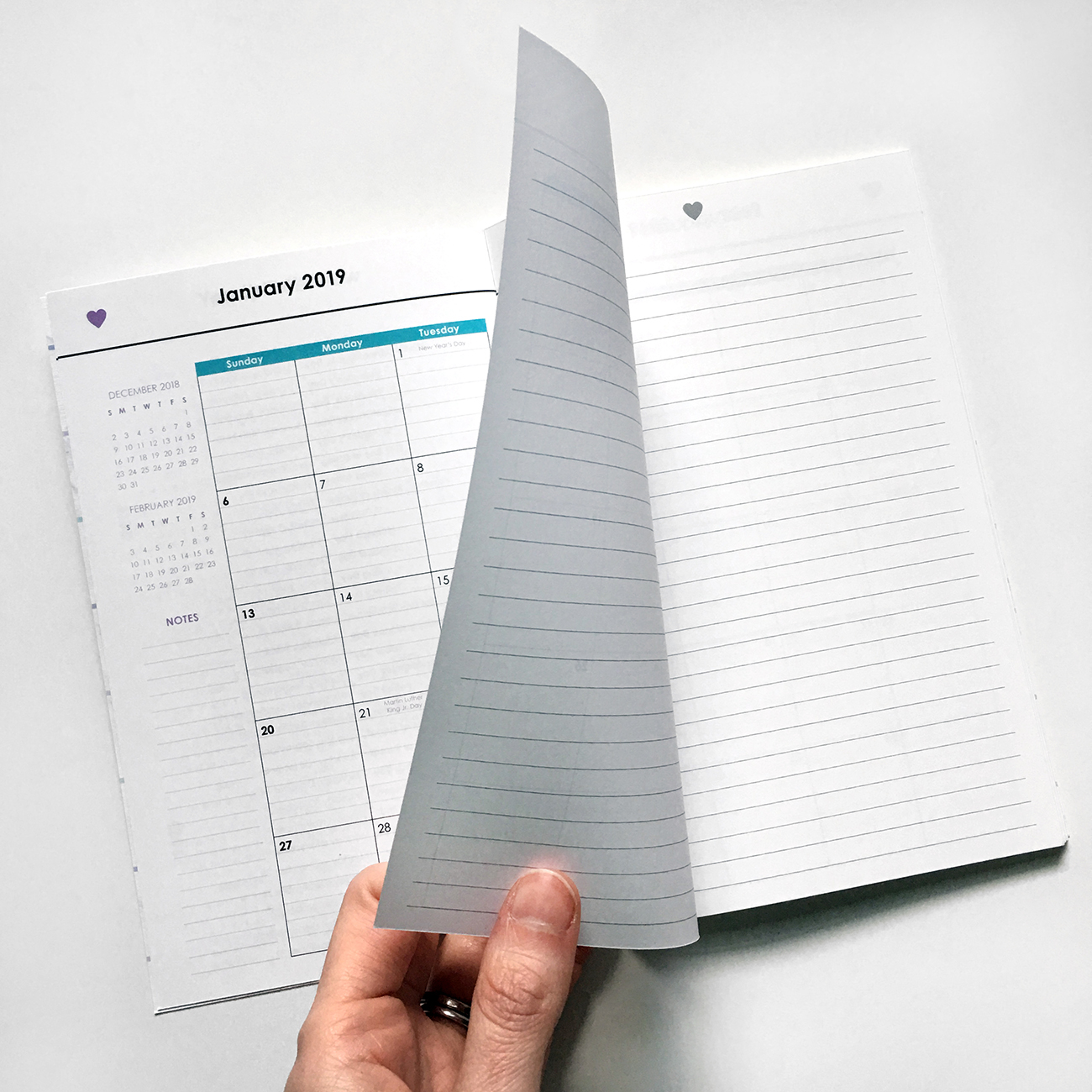 ashley-shelly-2019-monthly-notebook-planner-notes