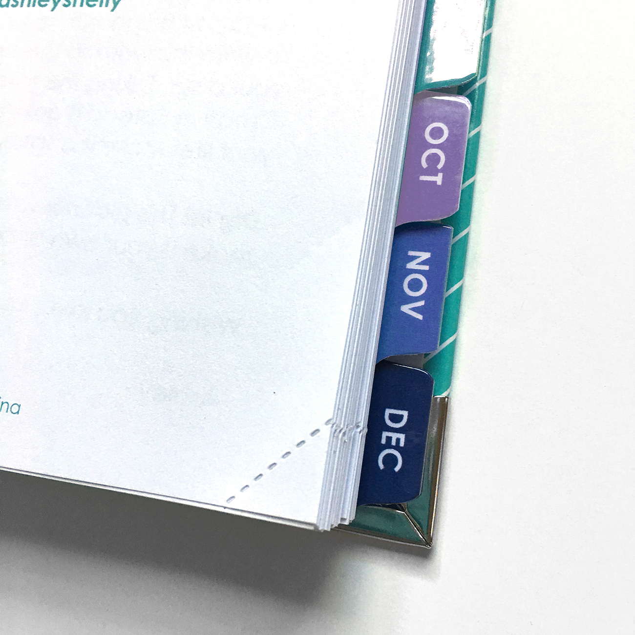 2020 Ashley Shelly Planner Overview