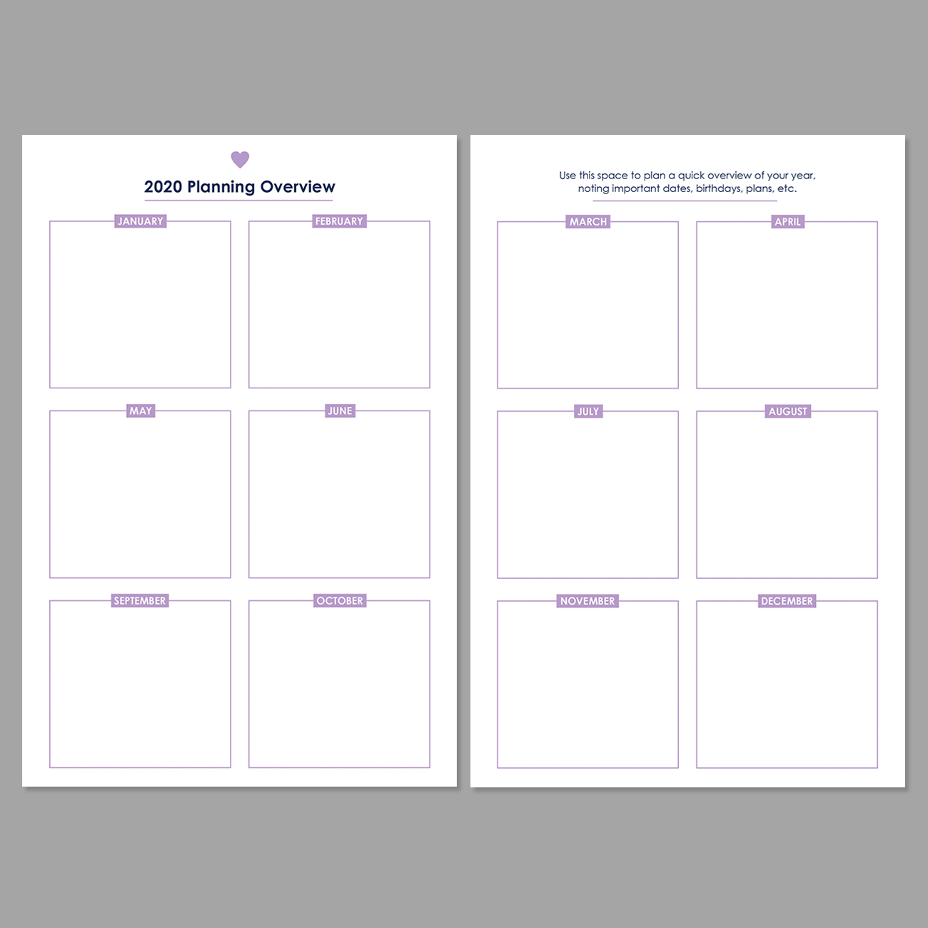 2020 Ashley Shelly Planner Overview