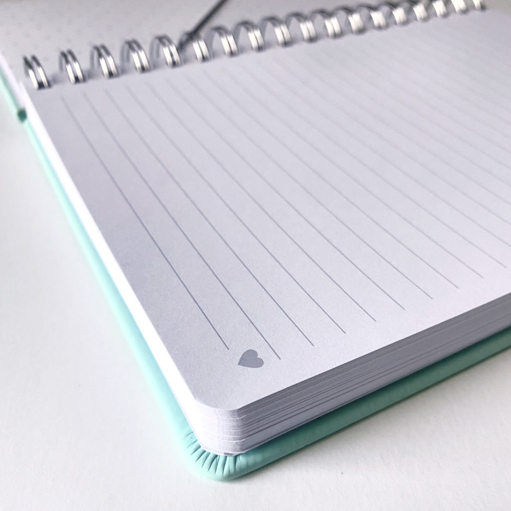 Luxury Lined Notebook: “Dream Big” in Blush